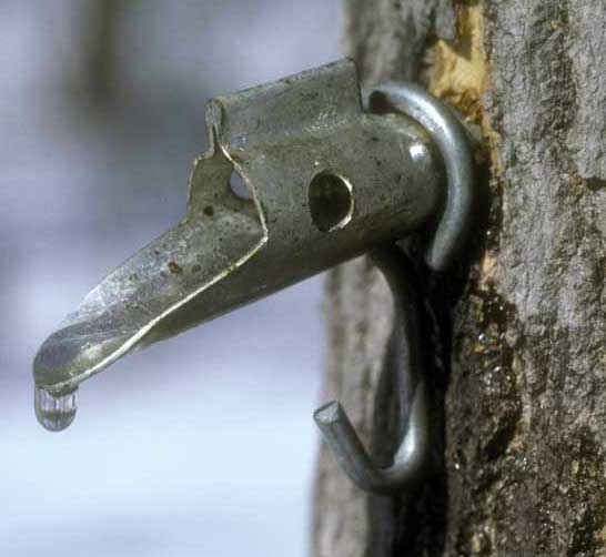 The Daily: 14 March 2025 – By My Solitary Hearth